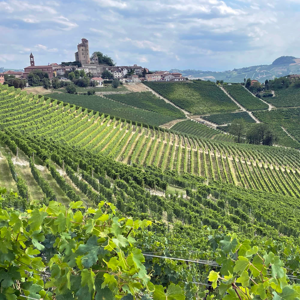 The Best Barolo Crus - Which is the best choice? – BrunOlo